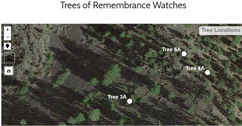 Memorial Tree Urn Watch – Tree Ring Co