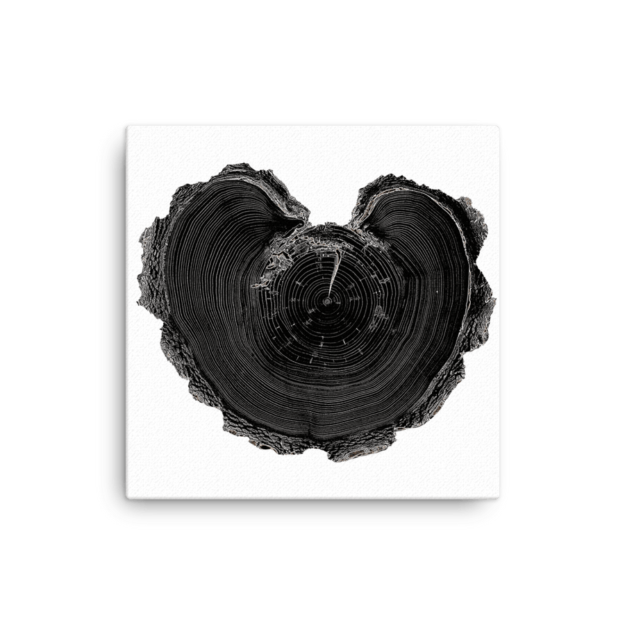 Tree Print – Tree Ring Co
